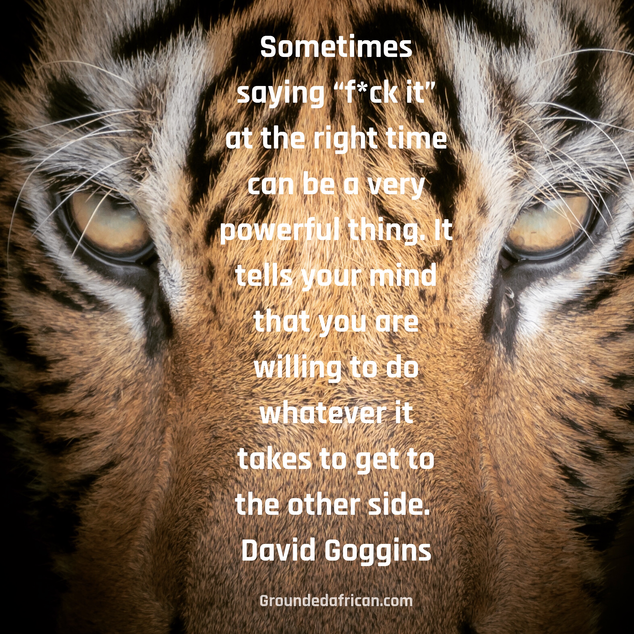 Daily Quote: David Goggins – Grounded African