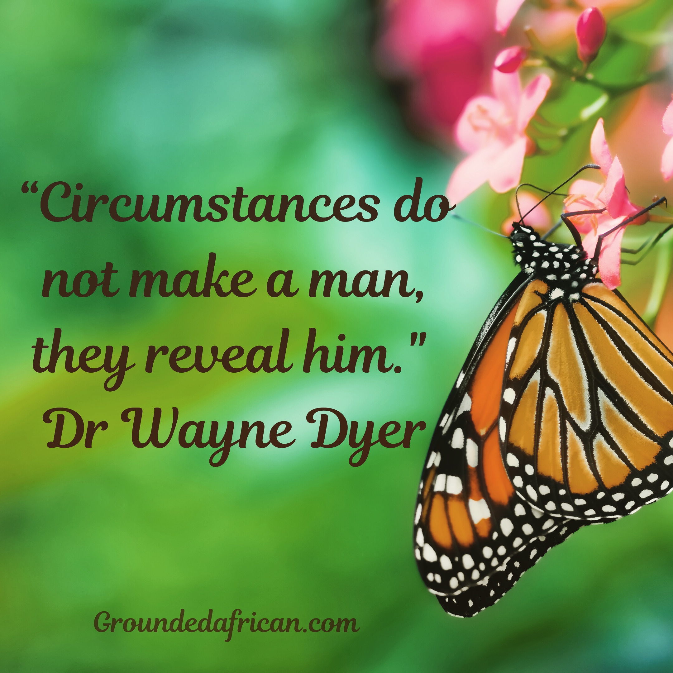 Doctor Wayne Dyer Quotes