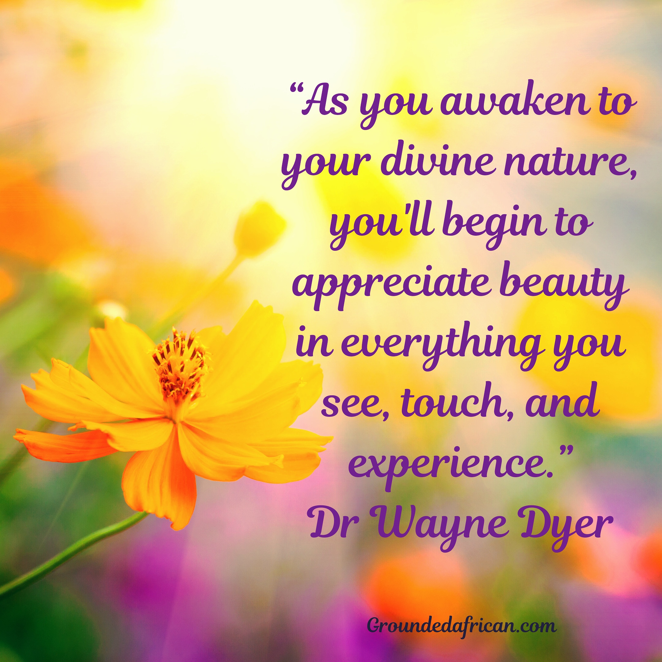 Doctor Wayne Dyer Quotes